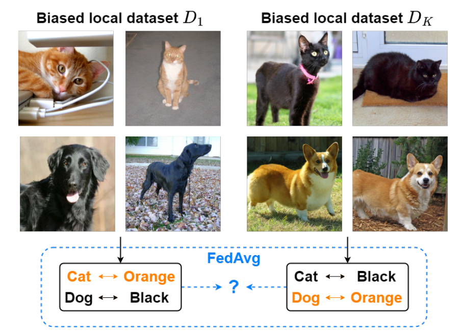 Bias-Eliminating Augmentation Learning for Debiased Federated Learning ...